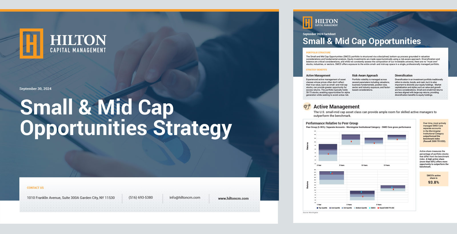 Small and Mid Cap Opportunities Strategy